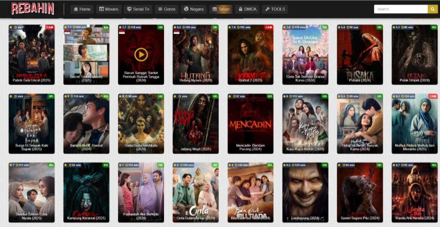 Ngeri! Nonton di Rebahin, LK21 dan IndoXXI Bisa Ancam Data Pribadi, Segera Pindah ke Platform Legal